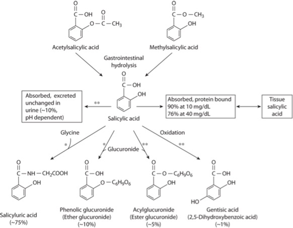 Salicylate Toxicity – Verpleegkundig specialisten Spoedeisende hulp