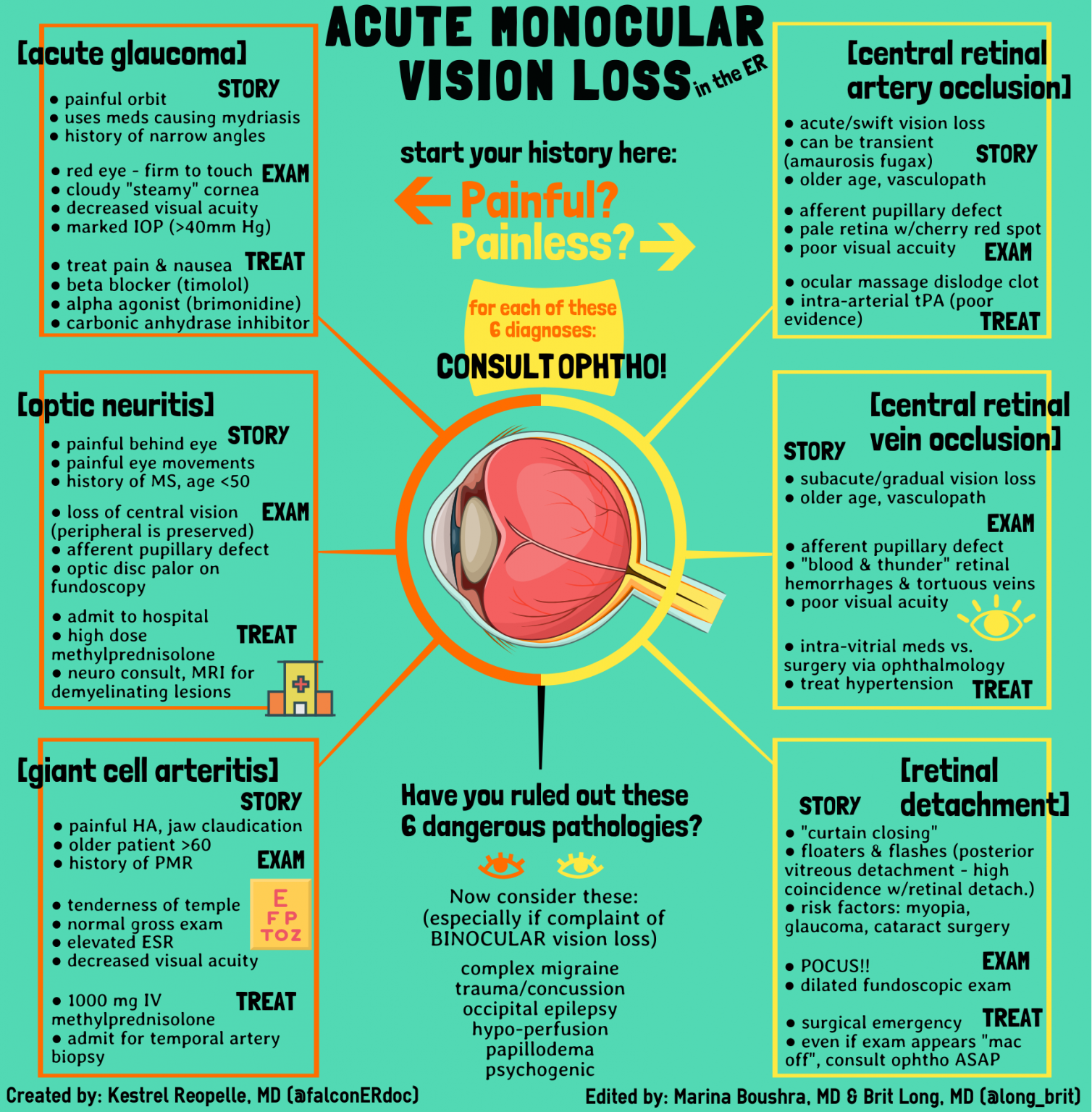 Acute Monocular Vision Loss – Verpleegkundig specialisten Spoedeisende hulp